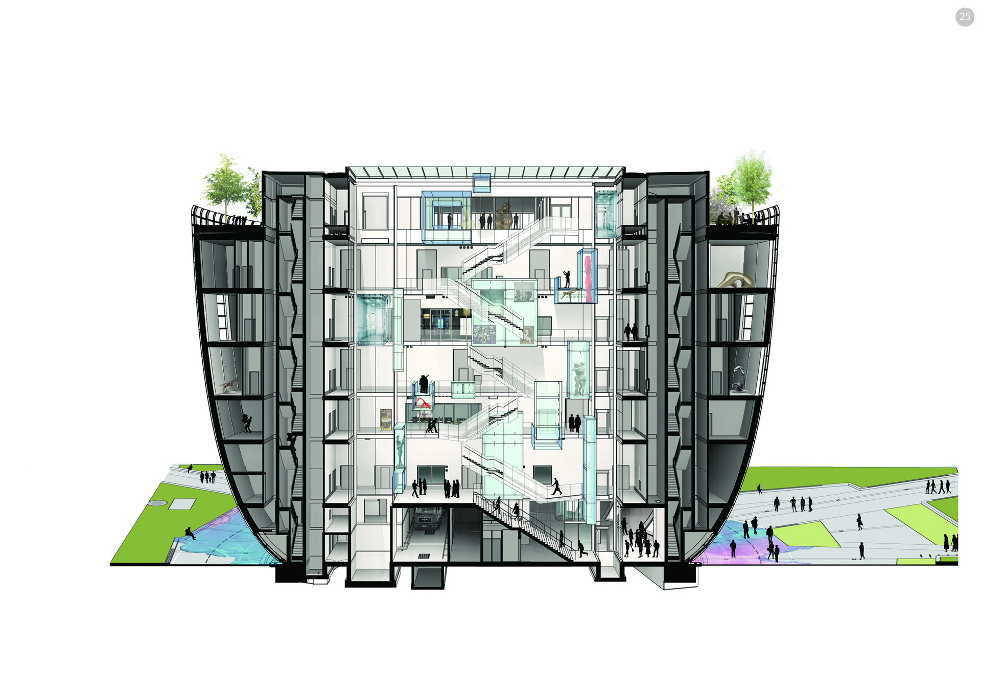 Perspective section