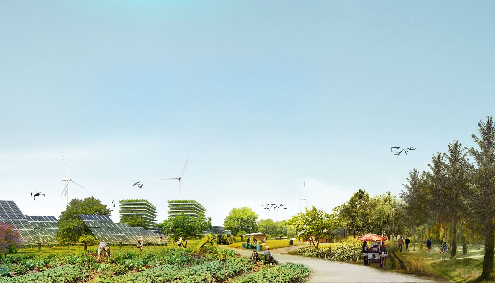 Excerpt from the stage 2 report Excerpt from the stage 2 report